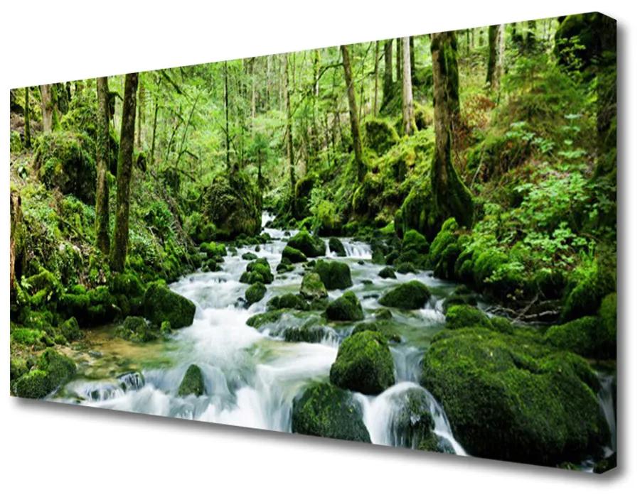 Obraz na plátně Les Potok Vodopády Řeka 120x60 cm