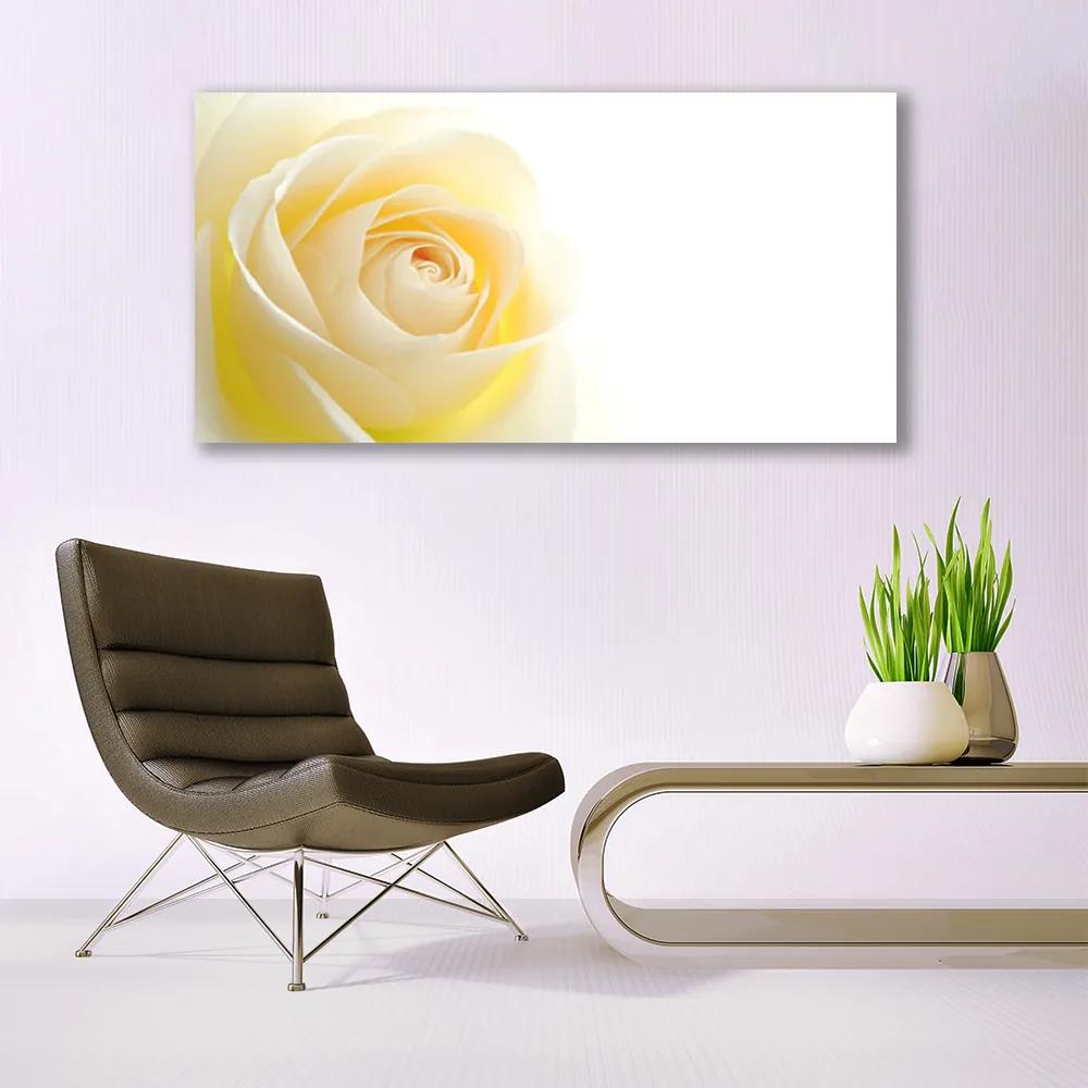 akrylový obraz Růže Květ Rostlina 120x60 cm