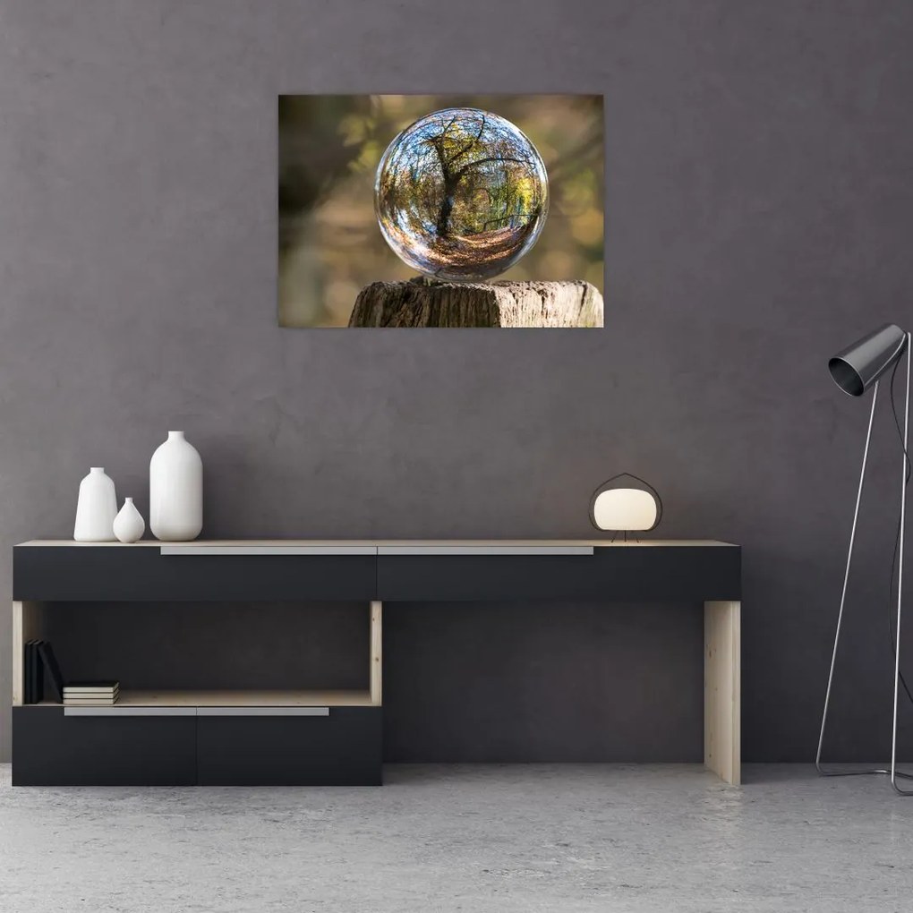 Skleněný obraz - Odraz ve skleněné kouli (70x50 cm)