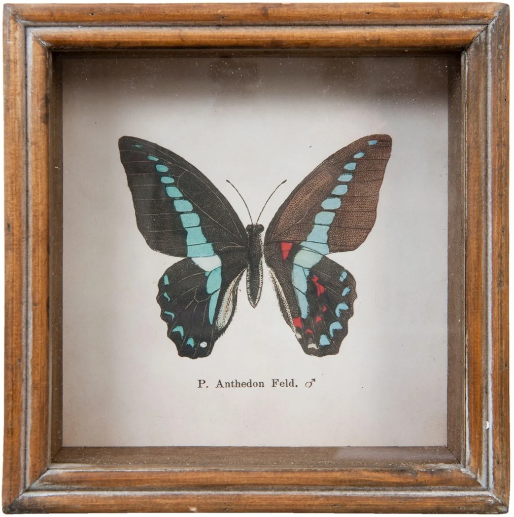 Zasklený obrázek motýl - 18*5*18 cm