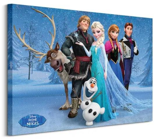Obraz na plátně Disney Frozen (Group FRENCH) 80x60cm WDC90912