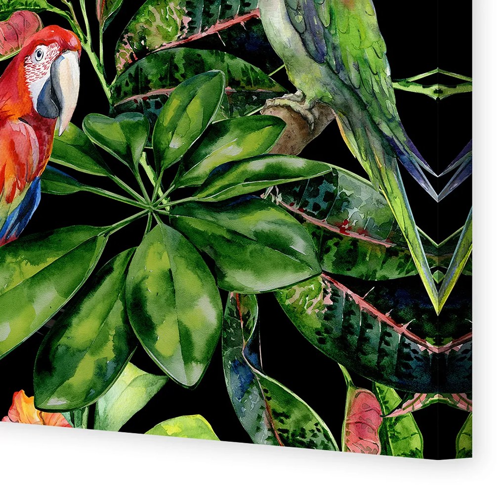 Obraz na płátně Tropical Birds