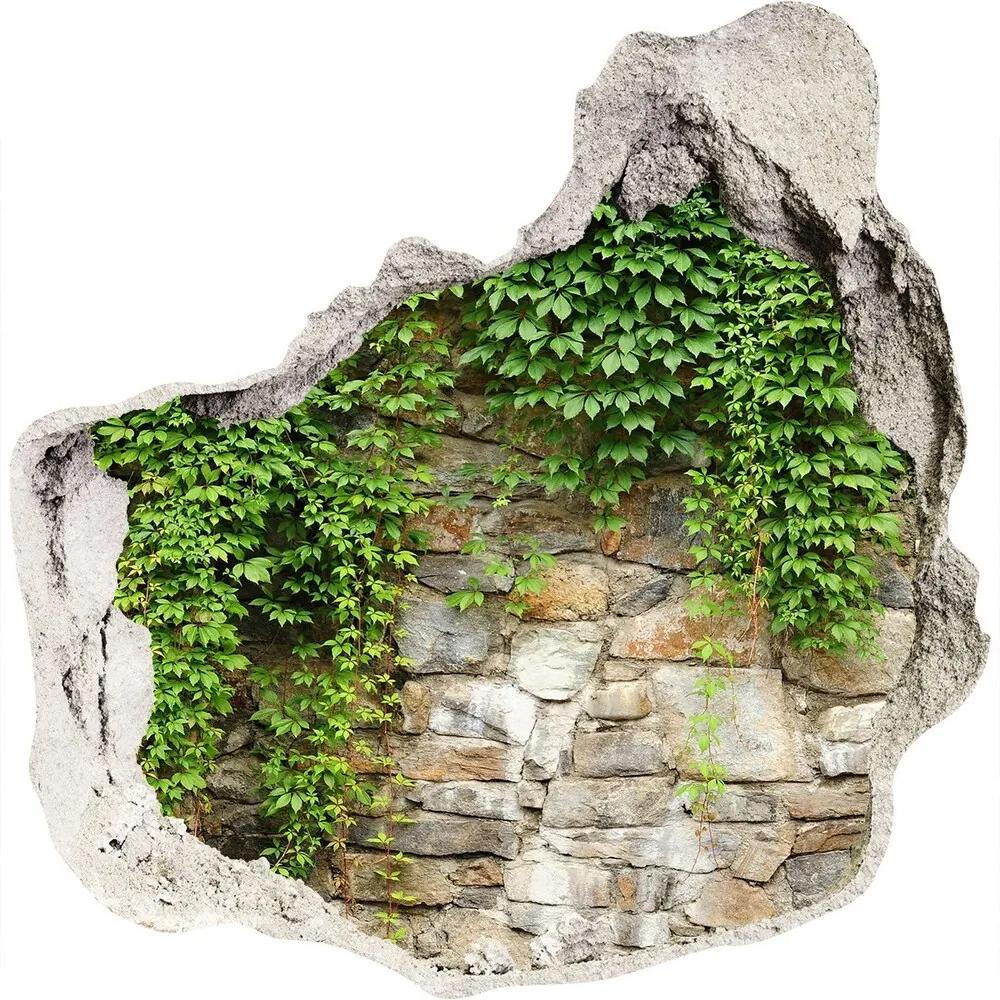 Wallmuralia Samolepící díra nálepka Zelený břečťan 75x75 cm