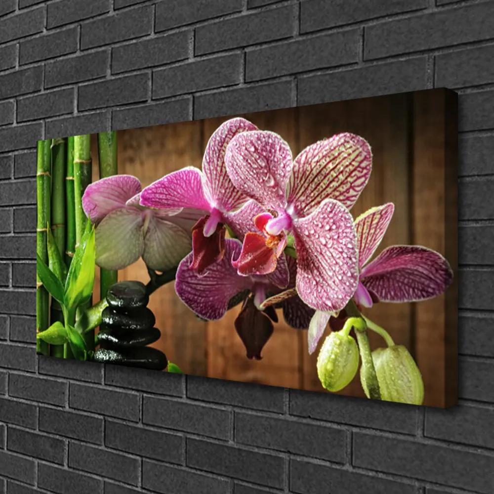 Obraz na plátně Kvetiny Bambus Rostlina 120x60 cm