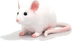 Mojo Animal Planet Myš / od 3 let