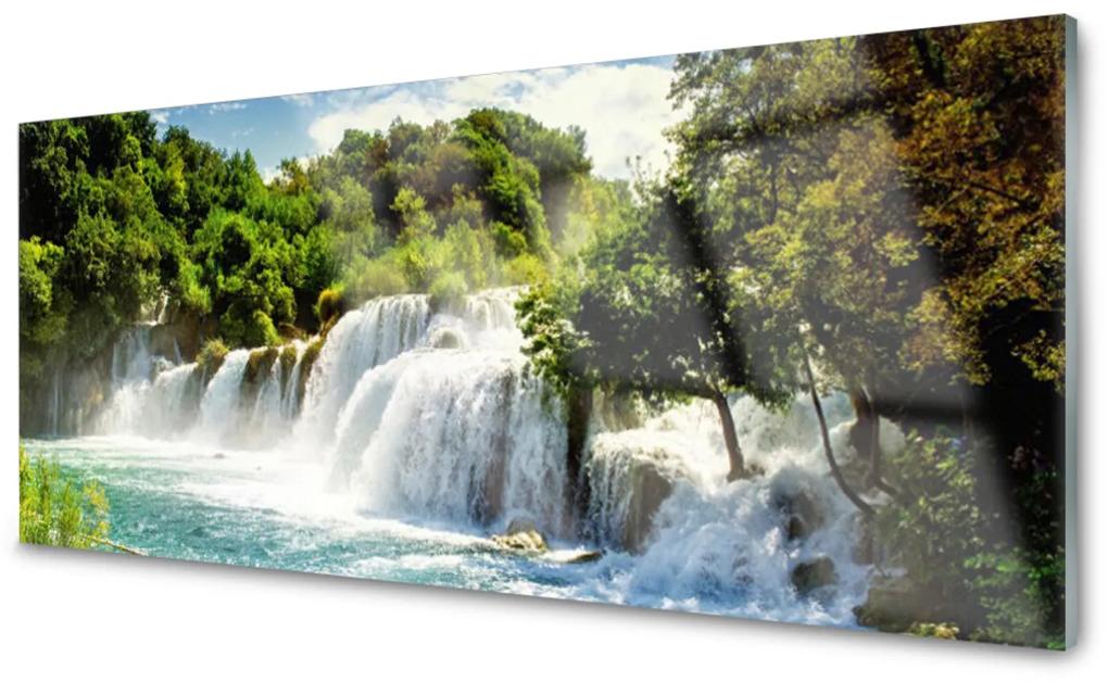 Skleněný obraz Vodopád Příroda Les
