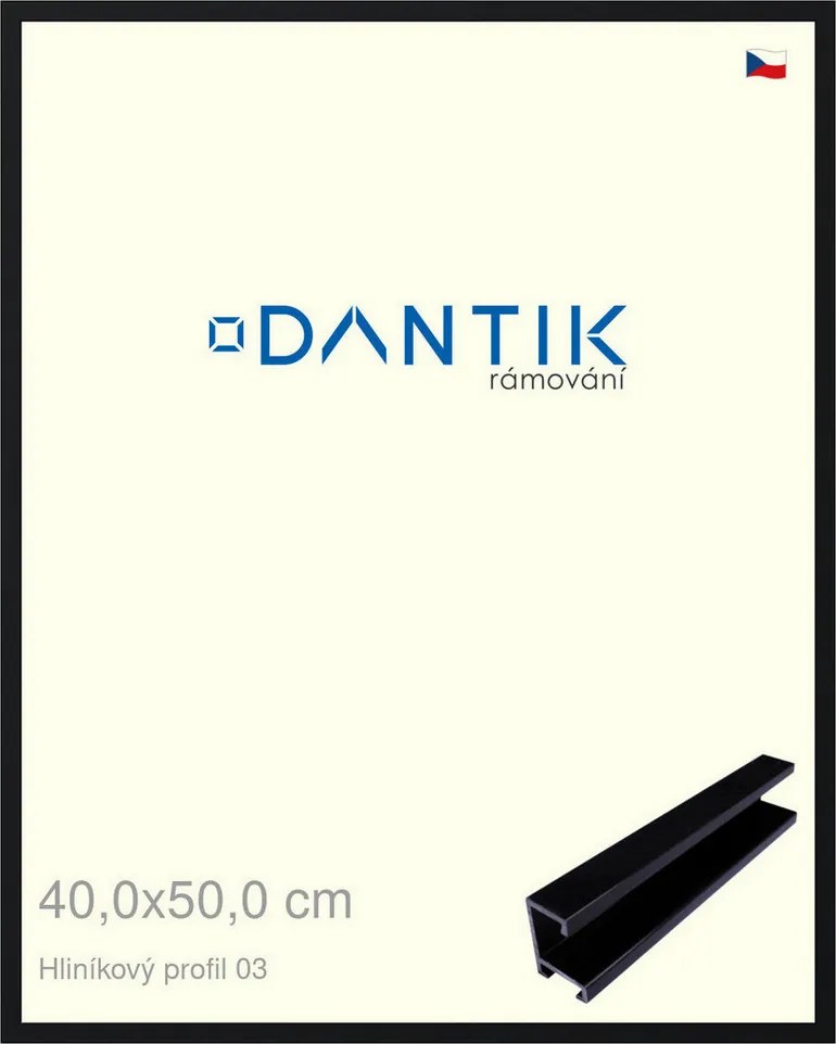 DANTIK rámeček 40x50 | ALU profil 7003 Černá Florentinská (Sklo Čiré)