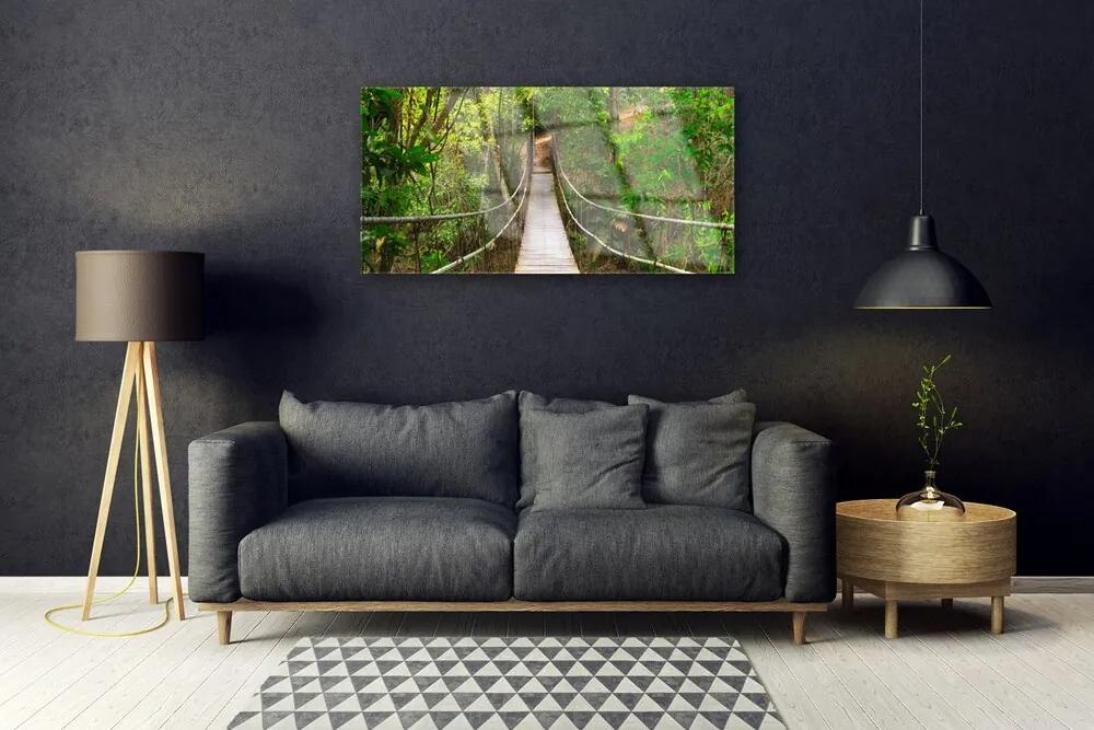 Obraz na skle Most Džungle Tropický Les 125x50 cm