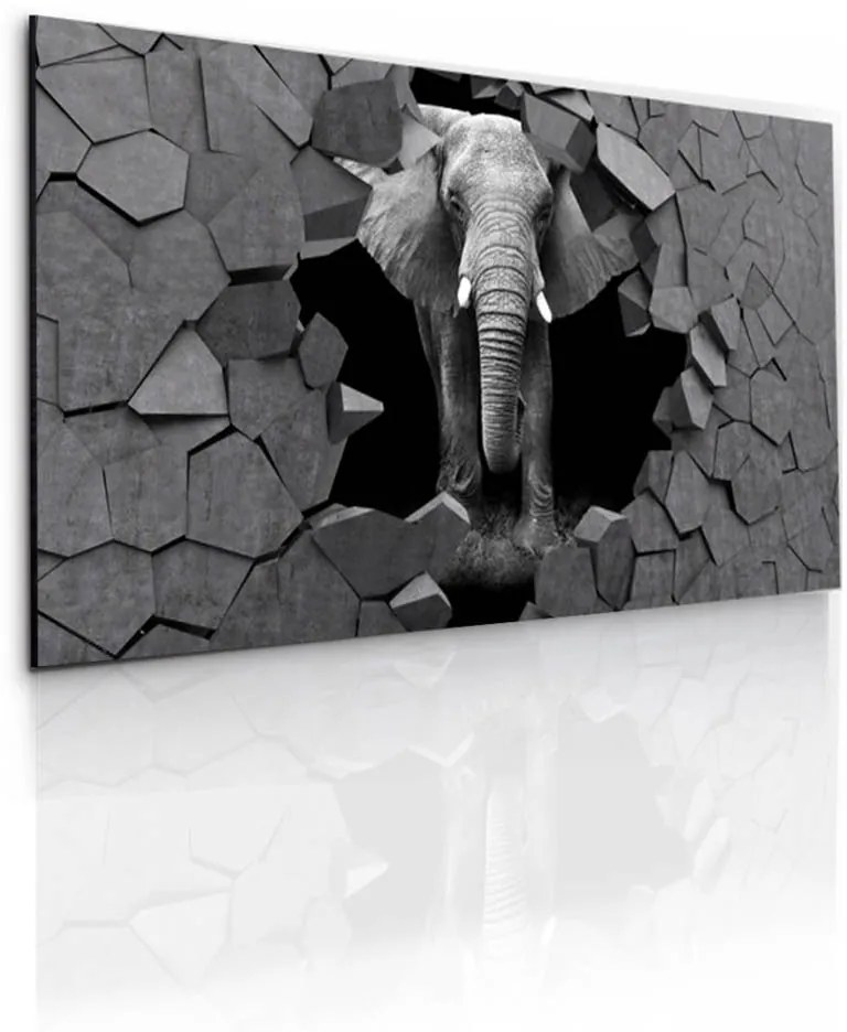 3D obraz slon Velikost (šířka x výška): 120x80 cm