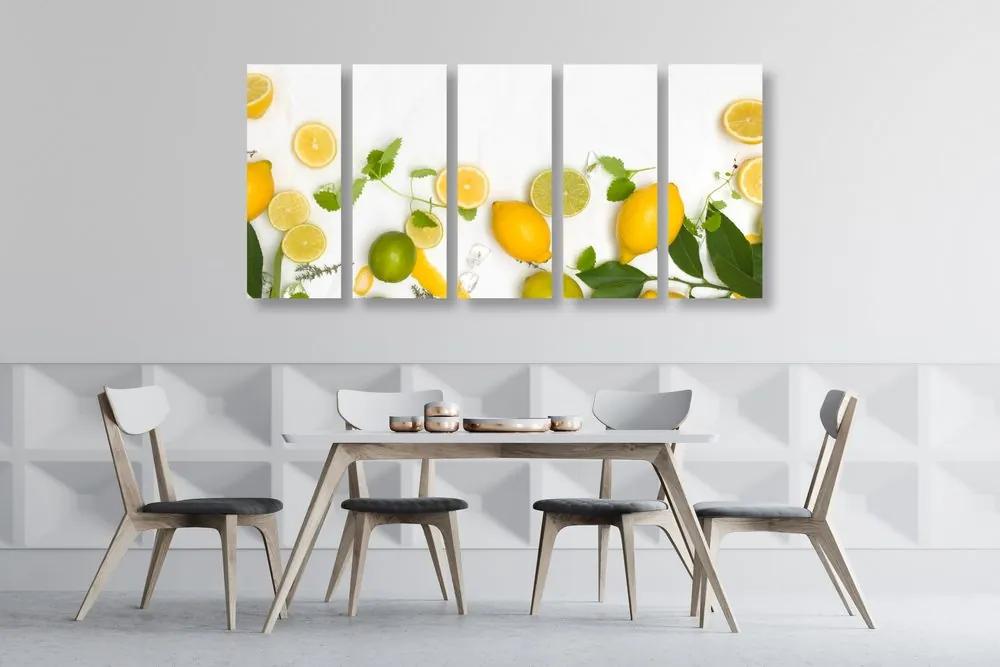 5-dílný obraz směs citrusových plodů Varianta: 100x50