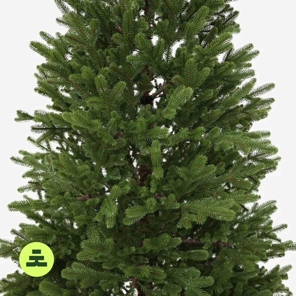 Smrk Natura 100% 210 cm