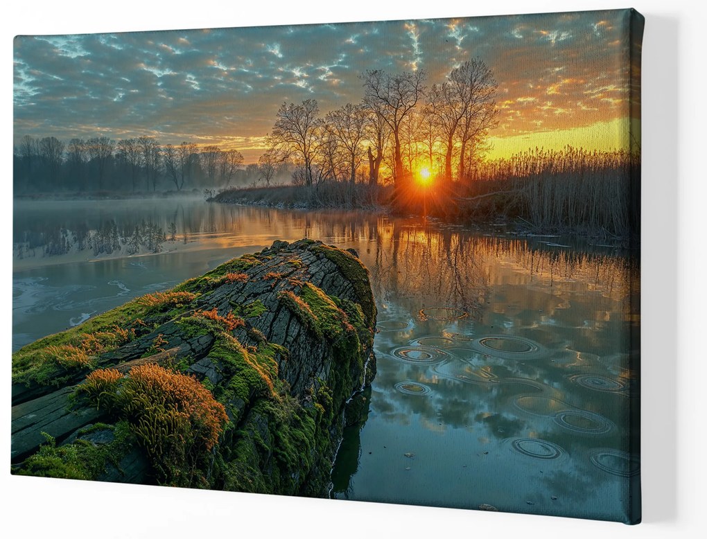 Obraz na plátně - Mechová kláda v mokřadech FeelHappy.cz Velikost obrazu: 40 x 30 cm