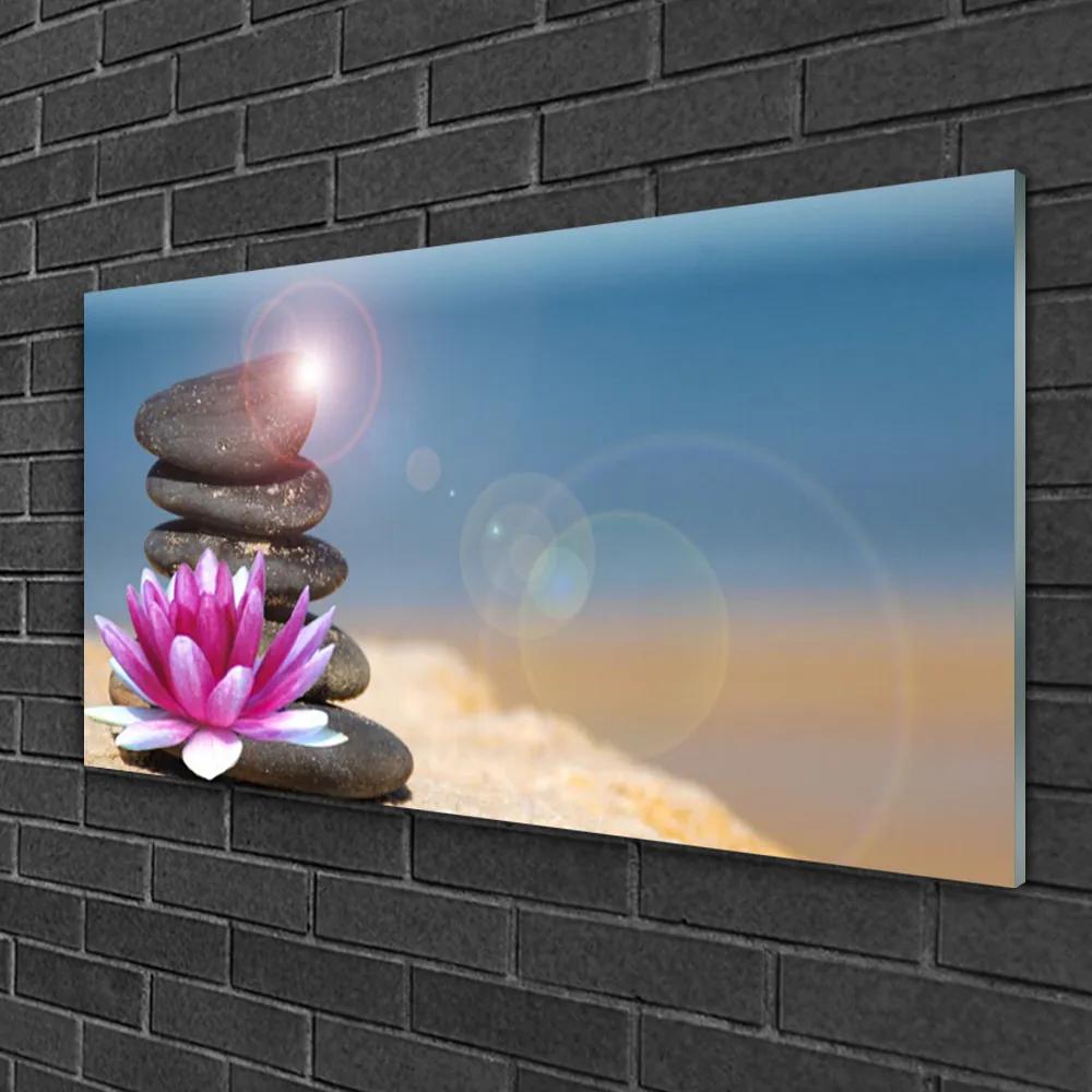 Obraz na skle Kameny Květ Umění 100x50 cm