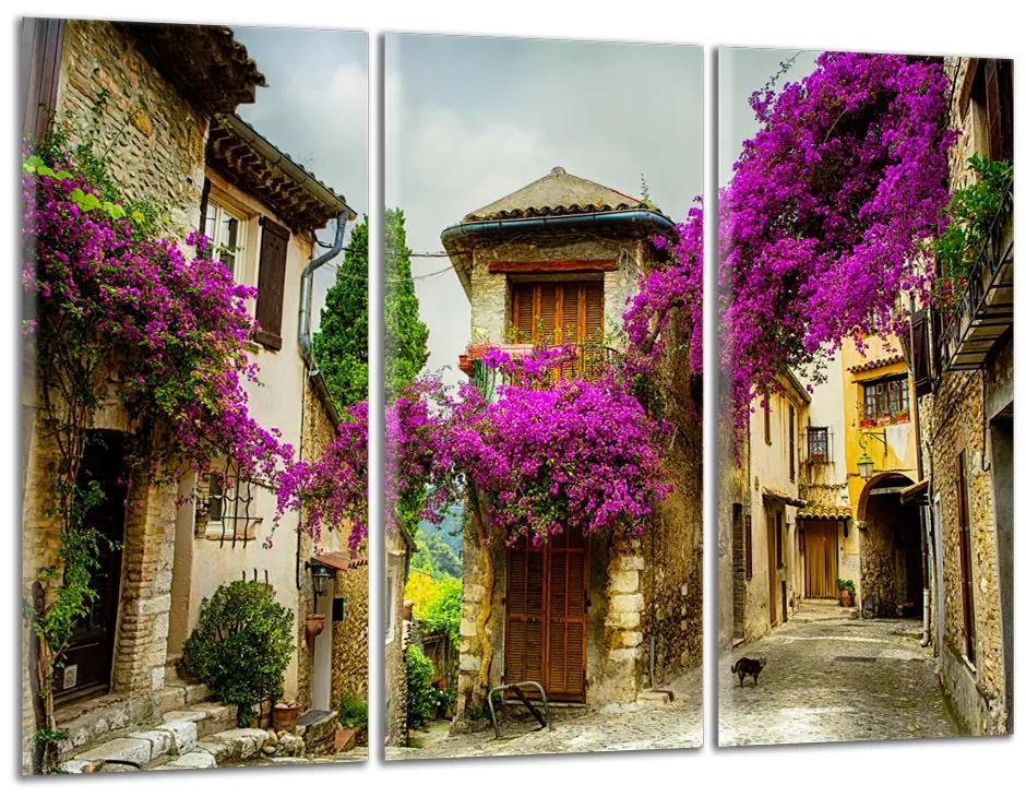 Obraz na plátně Provence 2628BX