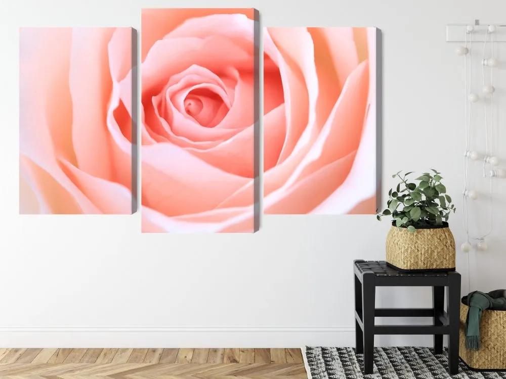 Vícedílný obraz Pastelová Růže Na 3D Makro Měřítku Nedostatek Nedostatek Přírodní plátno 90x60