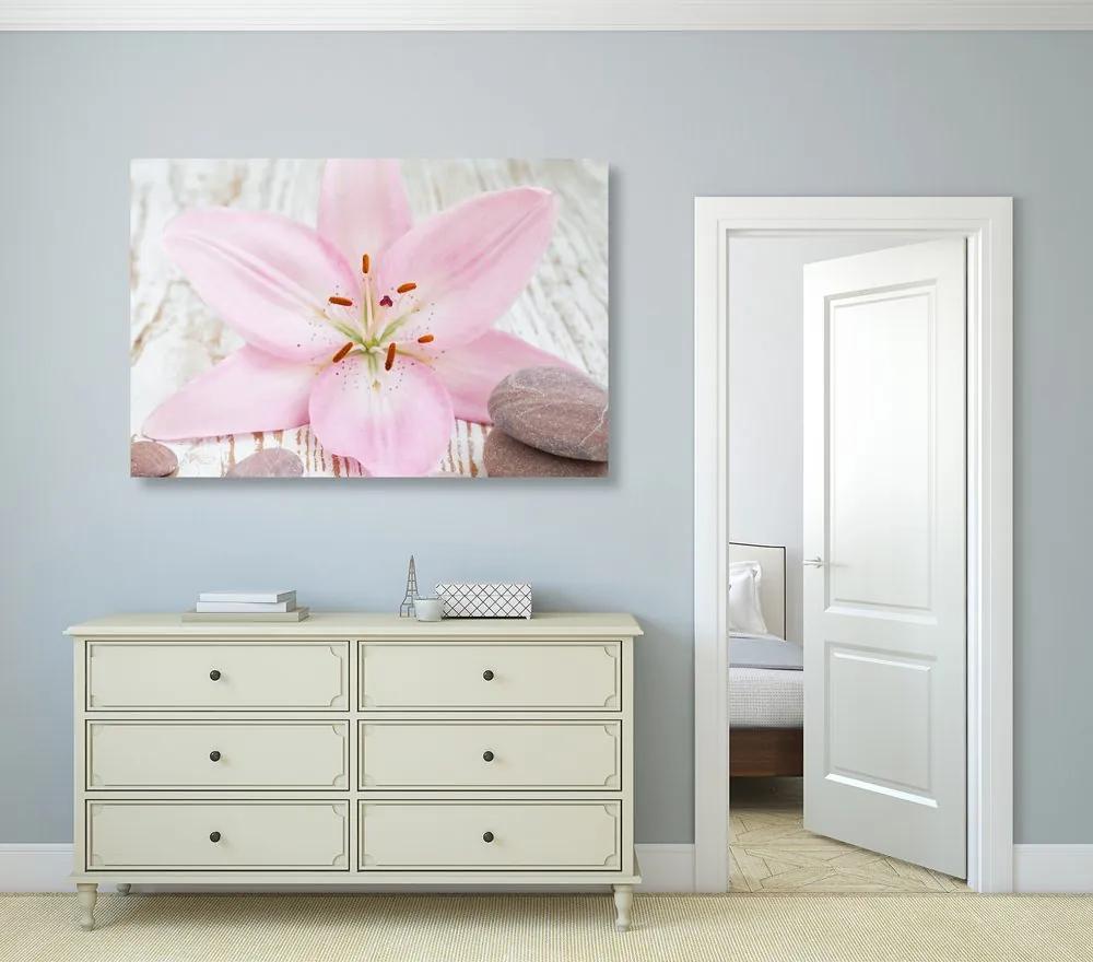 Obraz růžová lilie a Zen kameny Varianta: 60x40