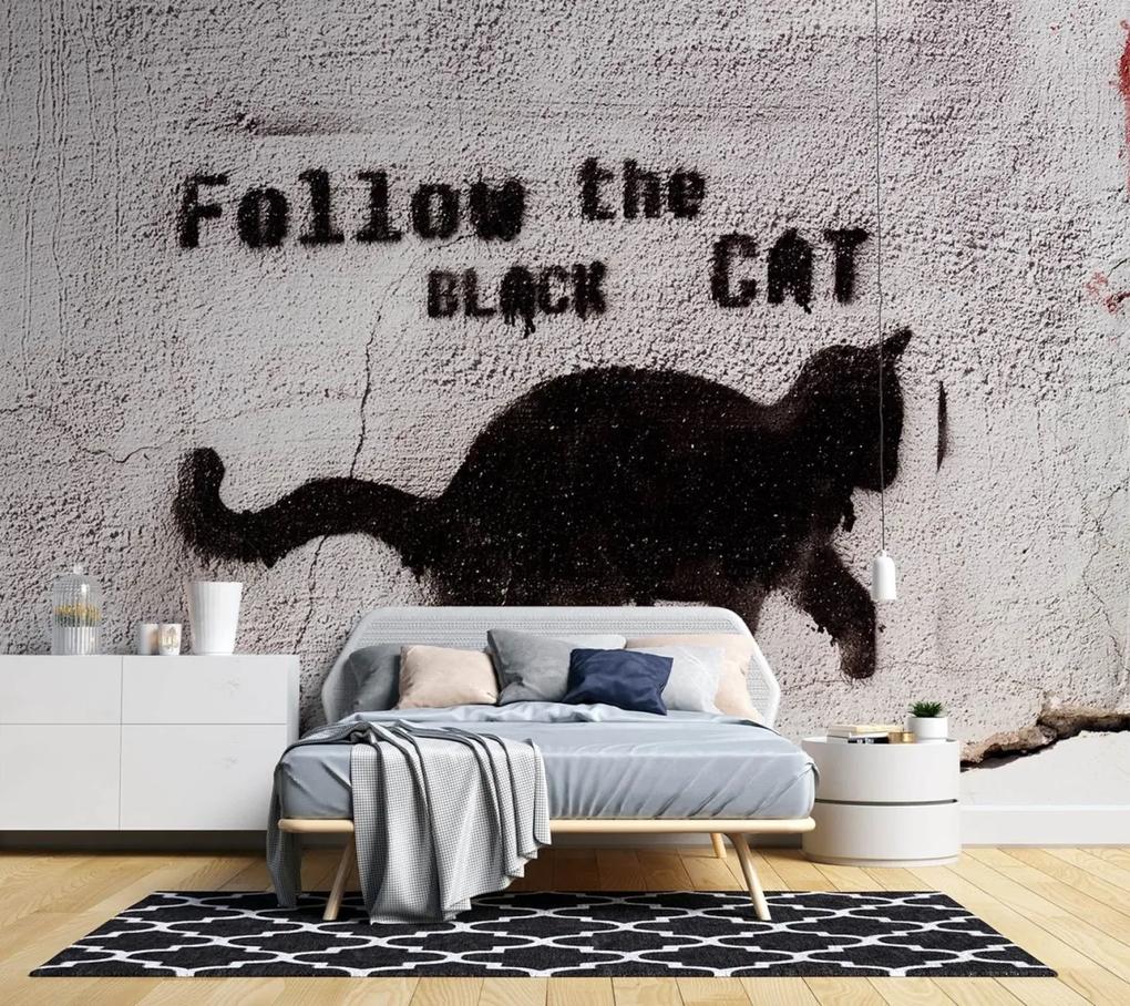Fototapeta, Banksy Graffiti Černá kočka - 350x245 cm