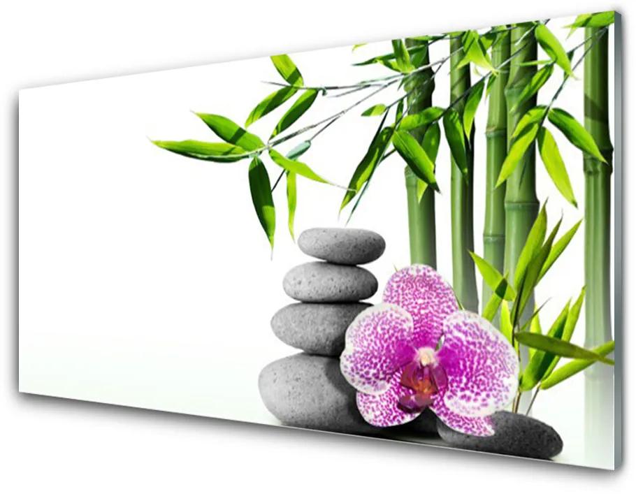 Obraz na skle Bambus Kameny Zen Umění 140x70 cm