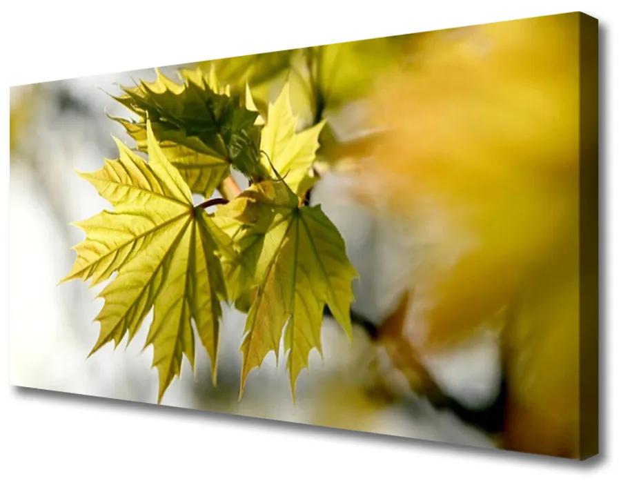 Obraz na plátně Listy Rostlina 125x50 cm