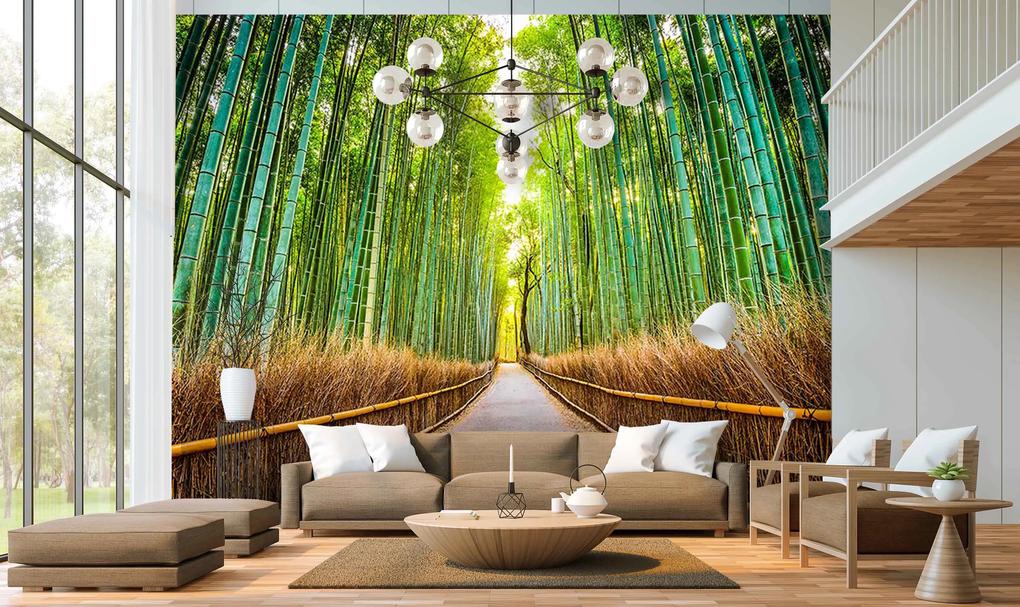 Malvis ® Tapeta bambusová stezka Vel. (šířka x výška): 504 x 310 cm