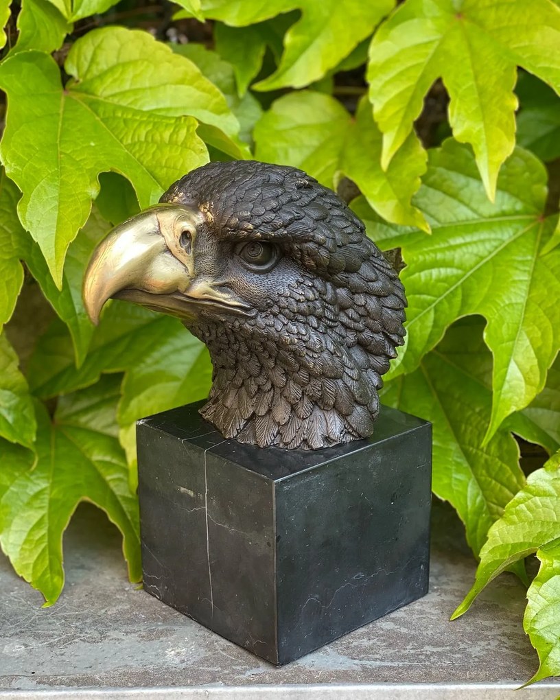 Bronzová socha soška HLAVA ORLA