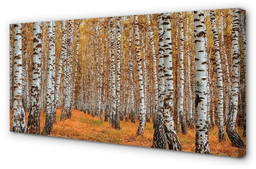 Obrazy na plátně podzimní stromy 125x50 cm