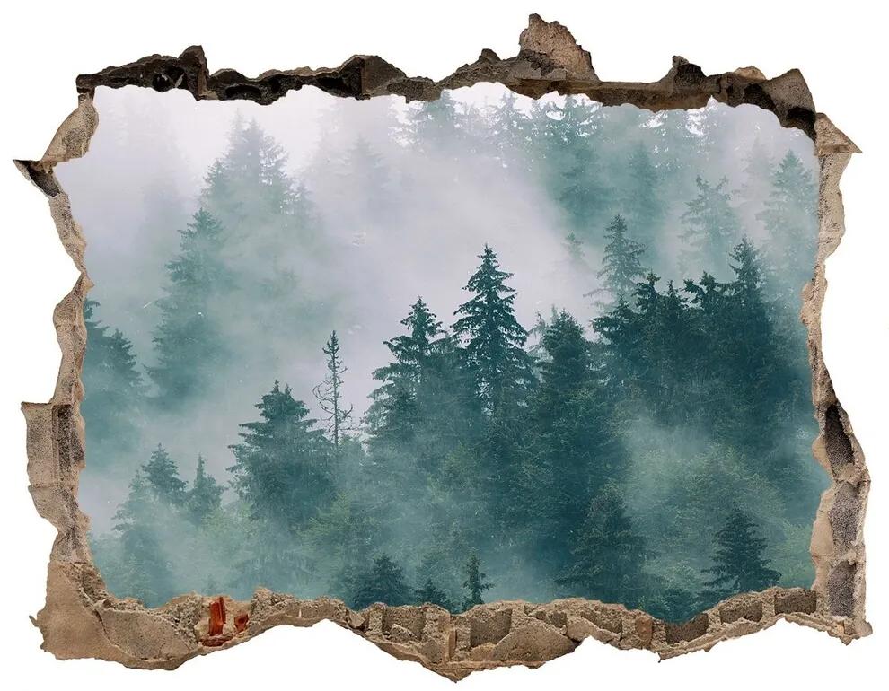 Wallmuralia Díra 3D ve zdi nálepka Mlha nad lesem 95x64 cm