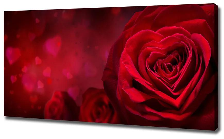 Wallmuralia Foto obraz na plátně Červená růže srdce 120x60 cm