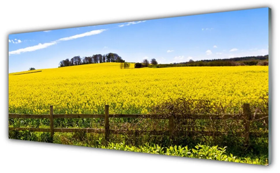 akrylový obraz Pole Rostlina Krajina 125x50 cm