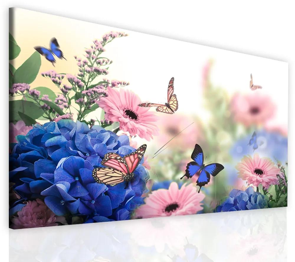 Malvis ® Obraz Motýlí život Velikost: 100x60 cm
