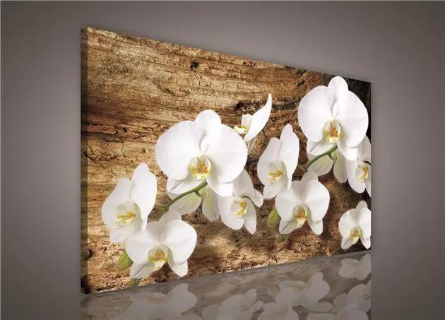 Obraz na plátně bílá orchidej na dřevě 100 x 75 cm