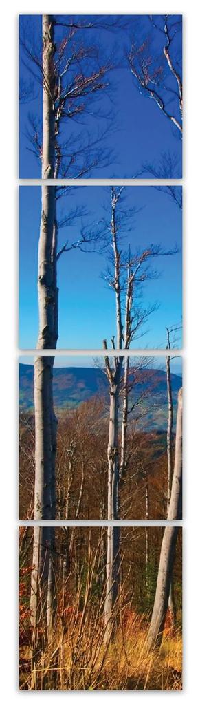 Malvis ® Obraz Cestou z Lysé hory Velikost (šířka x výška): čtverec - 30x30 cm