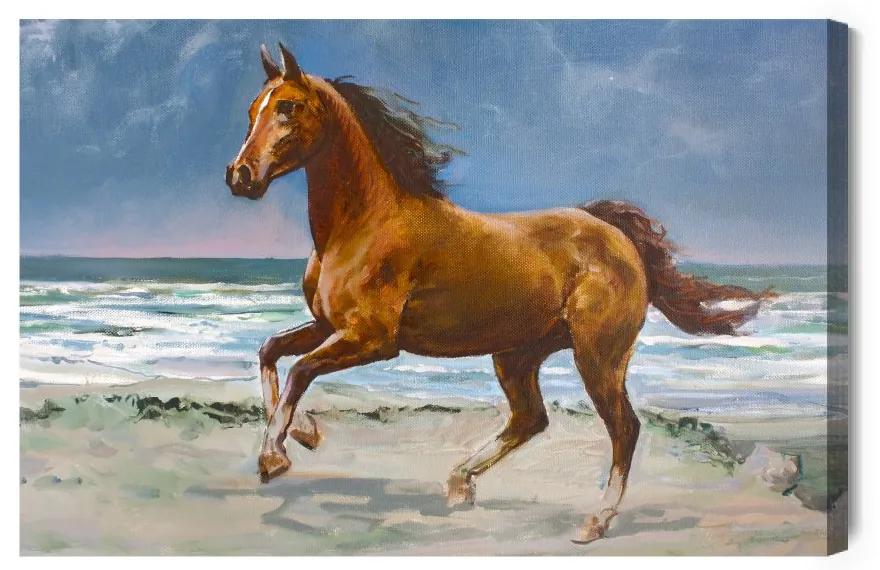Obraz Kůň, Slunce A Moře Nedostatek Nedostatek Plátno Canvas 30x20