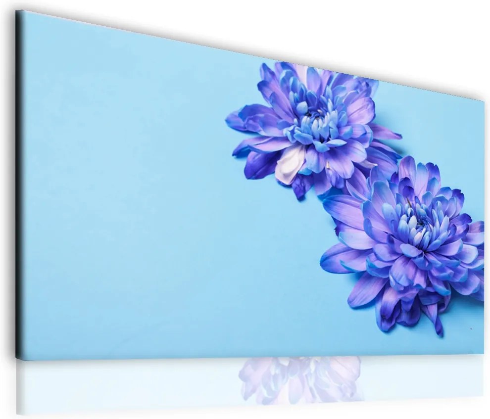 Obraz modré květiny (150x100 cm) - InSmile ®