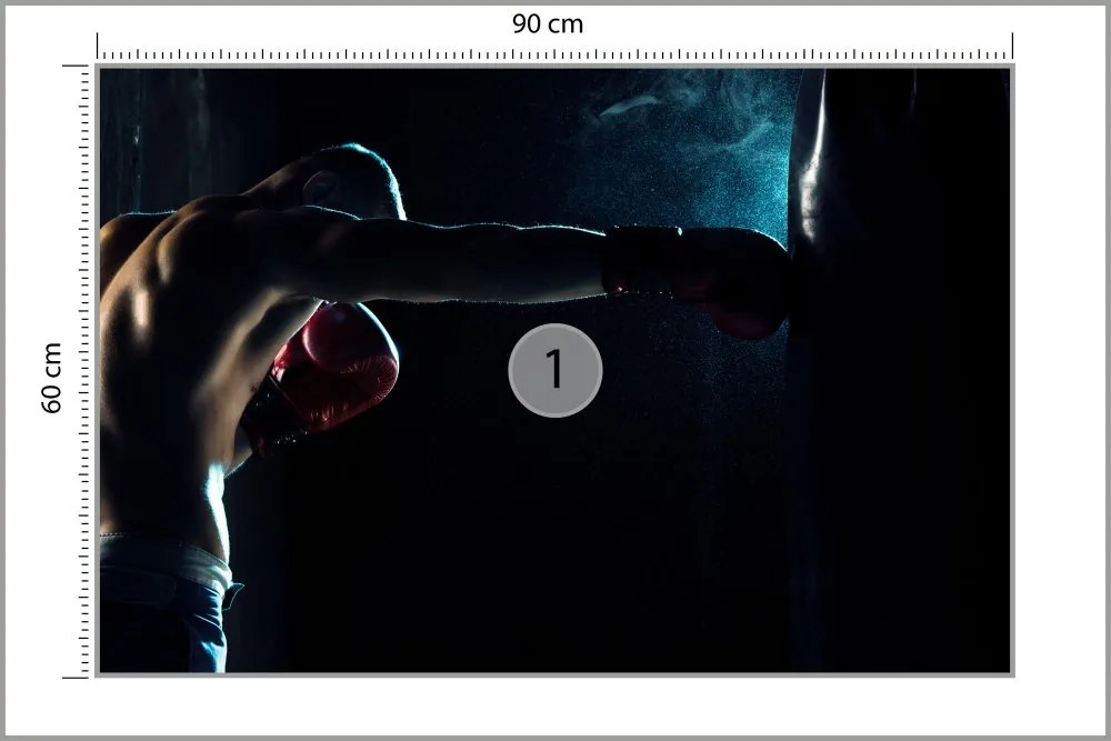 Fototapeta Školení Boxer Ve Stínu Omyvatelný vlies 360x240