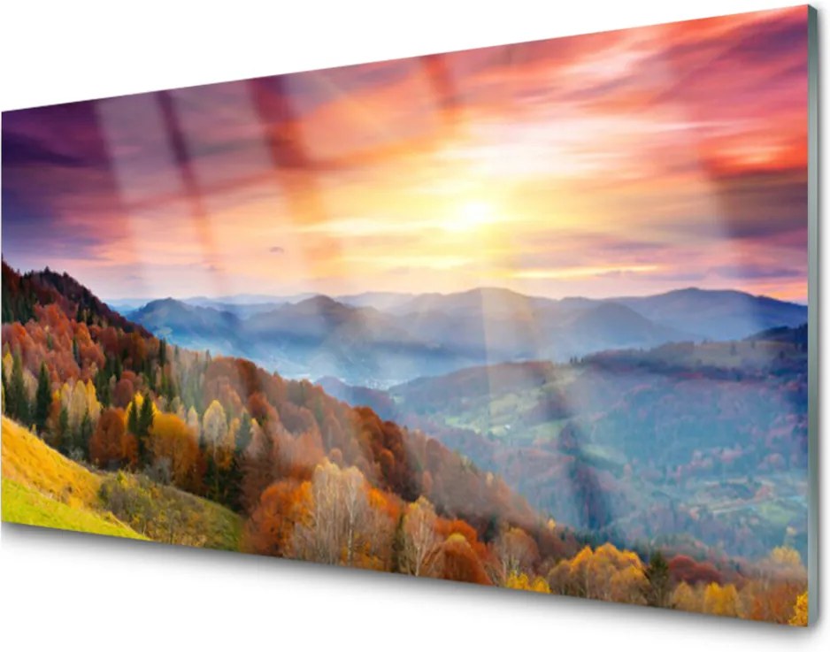 Skleněný obraz Hora Les Slunce Krajina