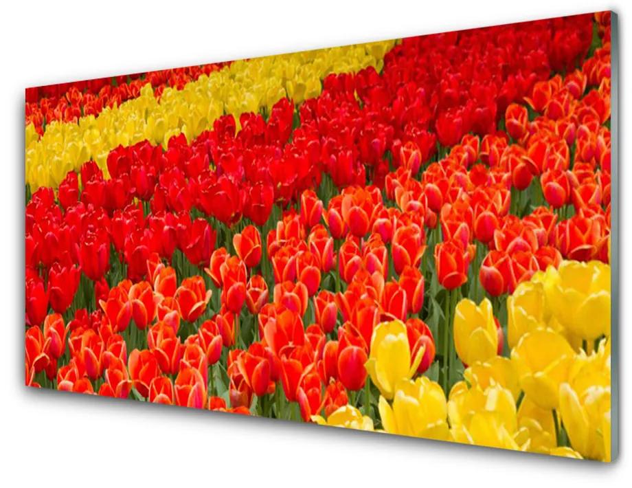 Obraz na skle Tulipány Květiny 125x50 cm