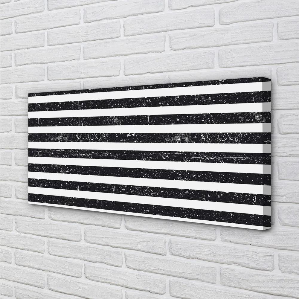 Obrazy na plátně Zebra pruhy skvrny 100x50 cm