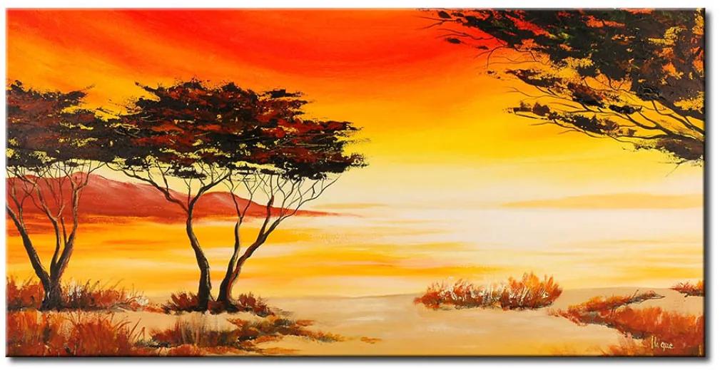 Obraz Krajina (1dílný) - příroda savany s stromy při západu slunce