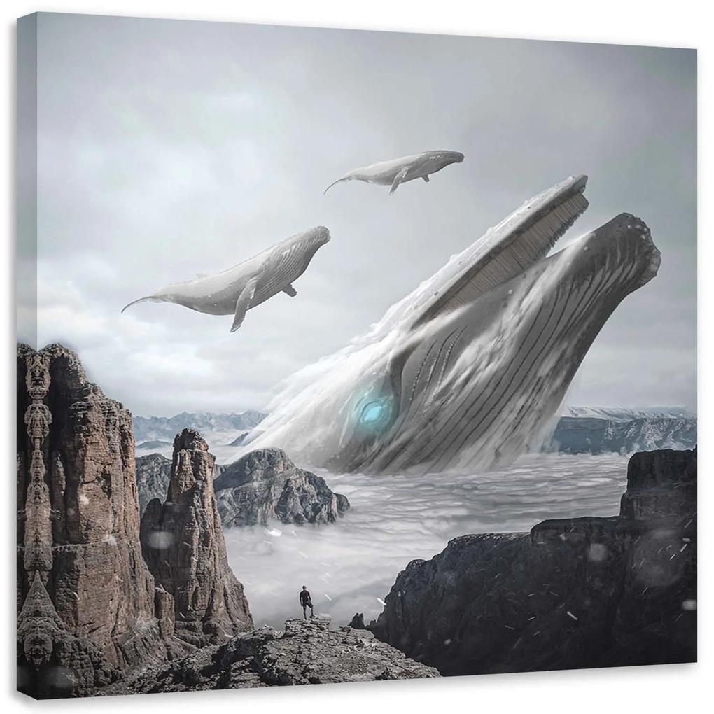 Gario Obraz na plátně Létající velryby - Zehem Chong Rozměry: 30 x 30 cm