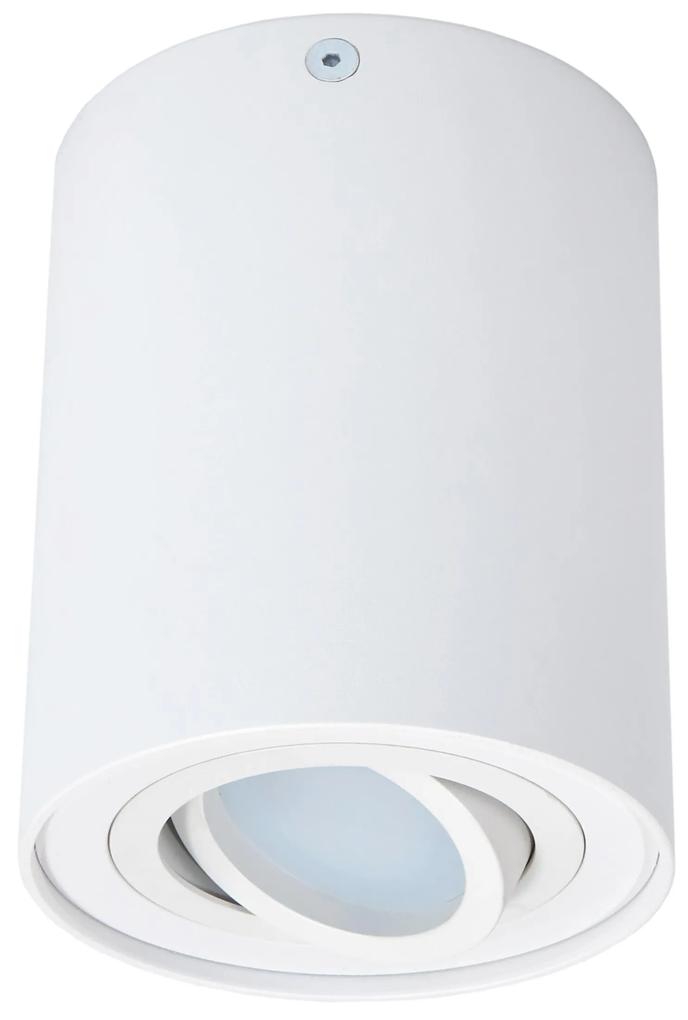 LED21 Podhledové bodové svítidlo přisazené OS100-BP výklopné - kruhové - bílá matná + patice GU10
