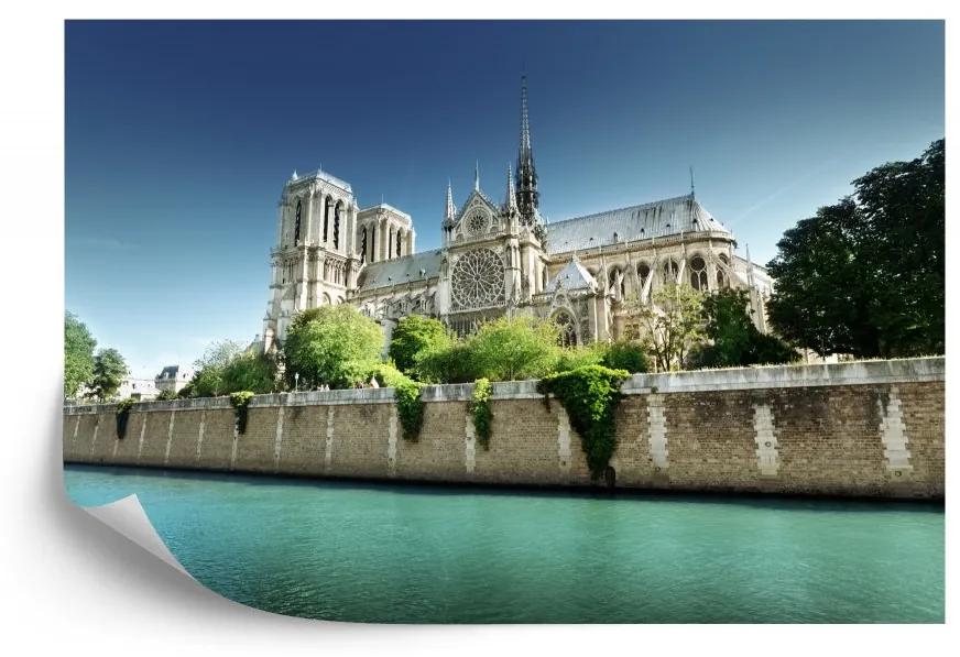 Fototapeta Paříž – Notre-Dame Hladký vinyl 208x146