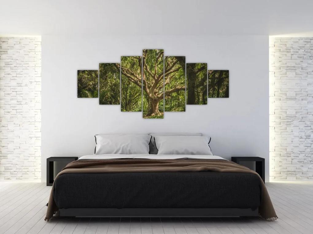 Obraz stromu (210x100 cm)