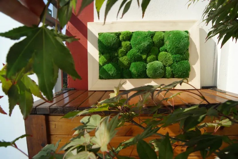 OznTo Živý obraz mech dřevo 68x42cm zelený