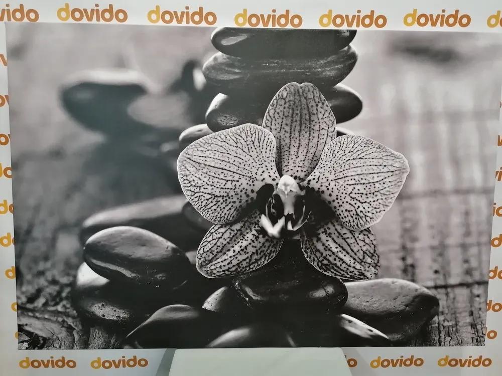Obraz orchidej a Zen kameny v černobílém provedení - 120x80 cm
