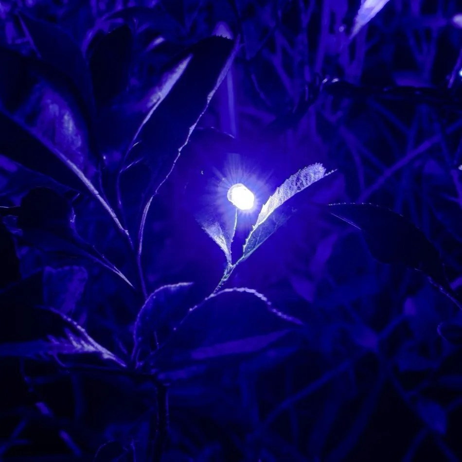 Hobby Line LED světelný řetěz, venkovní, 4 m, modrý, 32 diod, tmavě zelený kabel, IP44, prodlužovací