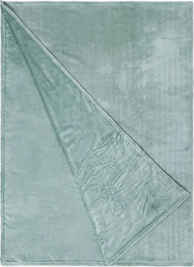 LAZY DAYS Flísová deka 200 x 150 cm - šalvějová