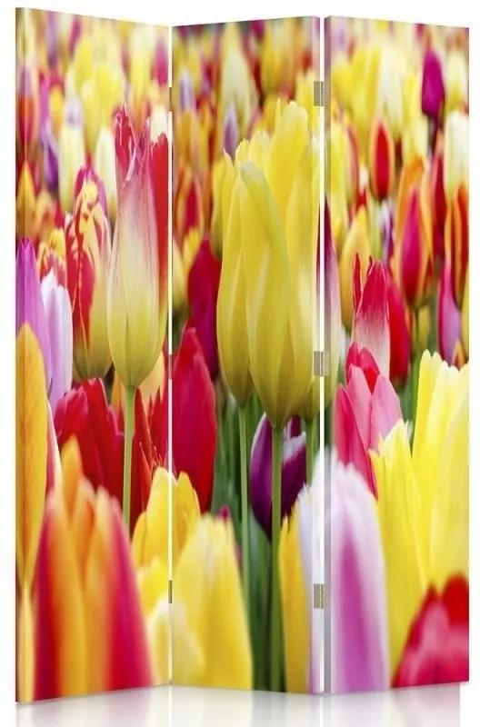 Ozdobný paraván, Pestrobarevné tulipány - 110x170 cm, třídílný, obustranný paraván 360°