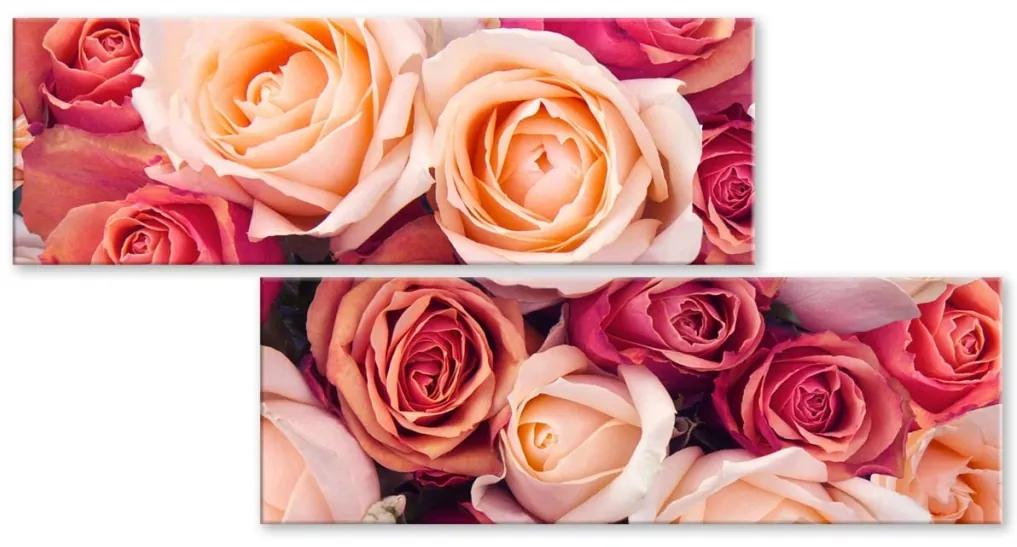 Malvis ® Atypický obraz Růže Velikost (šířka x výška): 100x50 cm