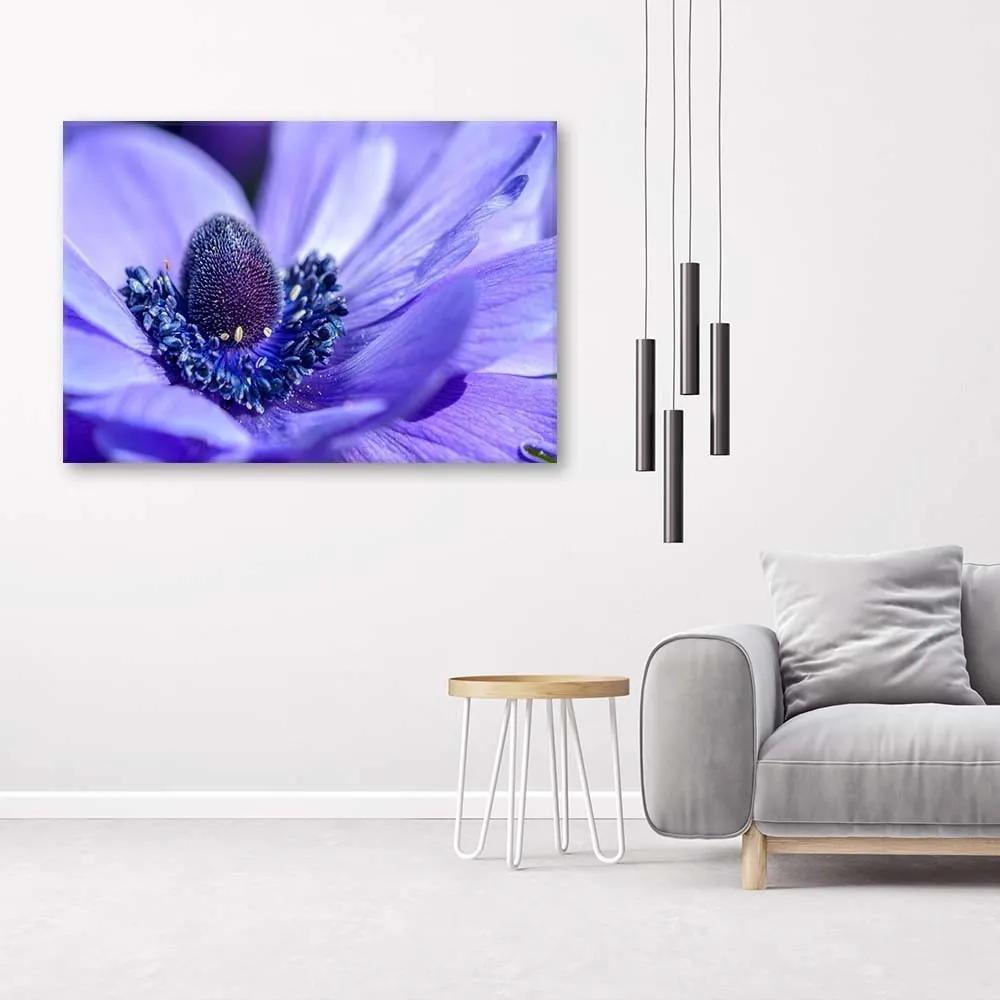 Obraz na plátně Fialová květina Příroda - 120x80 cm